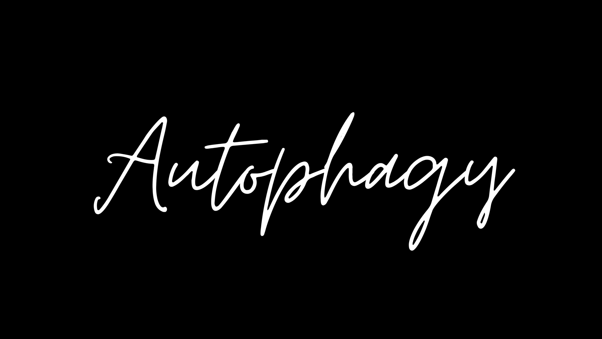 All things Autophagy: What you need to know – Sarah Wragge Wellness
